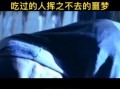 鸵鸟肉事件云南_真相是什么