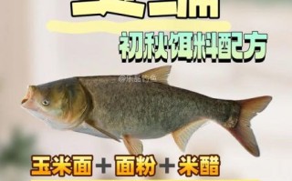 钓鲢鱼用什么饵料_钓鲢鱼饵料配方大全