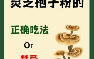 灵芝孢子粉的正确吃法_灵芝孢子粉有什么作用