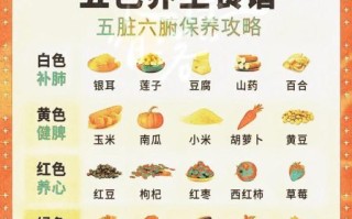 食医天下养生课堂_适合上班族的食疗方案