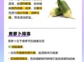 青萝卜的功效与作用是什么_青萝卜怎么吃最健康
