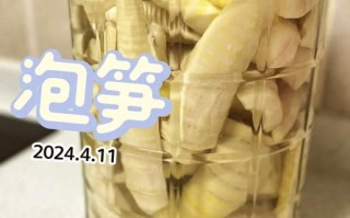 鲜竹笋怎么做好吃_鲜竹笋去涩味窍门