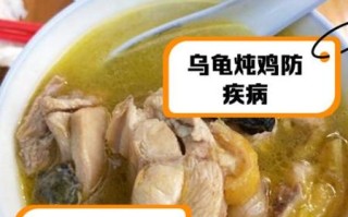 乌龟怎么做好吃_乌龟汤的做法