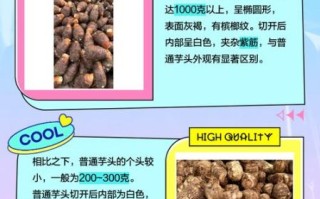 荔浦芋头和香芋的区别_哪个更好吃