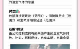 如何减少碳足迹_保护环境的做法
