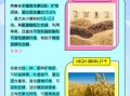 莜麦是燕麦吗_莜麦和燕麦的区别