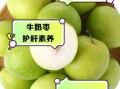 奶枣是什么_奶枣的做法和功效