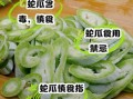 蛇瓜的功效与作用及禁忌_蛇瓜什么人不能吃