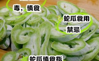 蛇瓜的功效与作用及禁忌_蛇瓜什么人不能吃