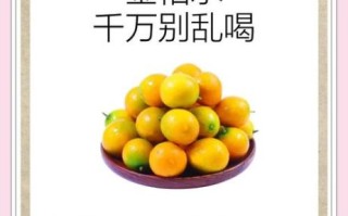 金桔怎么熬制治咳嗽_金桔止咳做法大全