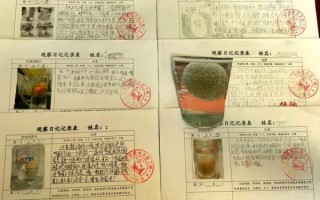 醋泡鸡蛋实验作文怎么写_醋泡鸡蛋观察日记怎么写