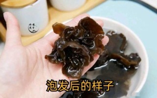 木耳泡24小时了有毒吗_木耳泡多久不能吃