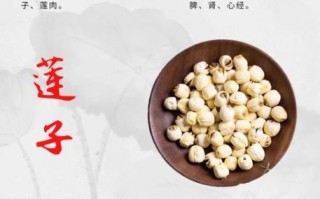 莲子可以天天吃吗_莲子吃多了有什么危害