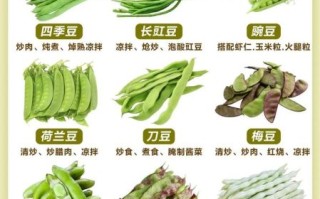 豆类大全名称有哪些_常见豆类品种怎么区分