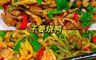 子姜鸭怎么做才好吃_子姜鸭的家常做法