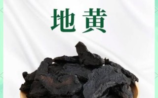 生地的功效与作用及食用方法_生地的正确吃法