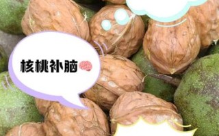鲜核桃的营养价值及功效_鲜核桃一天吃几个最好