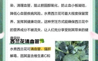 水煮西兰花能减肥吗_水煮西兰花有什么营养价值