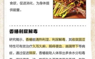 香椿是什么_香椿的功效与作用