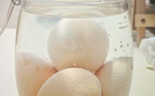 醋蛋液能去湿气吗_湿气重喝醋蛋液多久见效