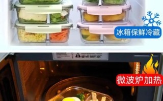 饭盒怎么选_饭盒可以微波炉加热吗