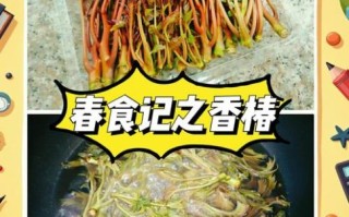 香椿芽怎么保存才新鲜_香椿芽冷藏还是冷冻好