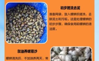 田螺怎么清洗才能洗干净_田螺清洗去沙最快方法