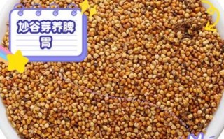 谷芽的功效与作用有哪些_谷芽主治什么病