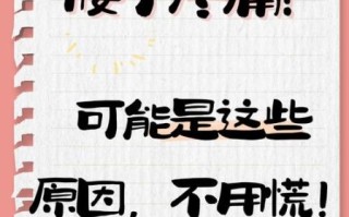 腰子是什么意思_腰子指什么部位