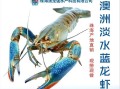 澳洲龙虾多少钱一斤_澳洲龙虾图片价格表