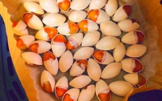 白果一天吃几个最好_白果吃多了会怎样