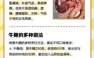 牛鞭是什么_牛鞭的功效与作用