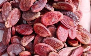 红瓜子是什么瓜果产的_红瓜子产地与品种