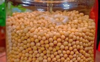 传统黄豆酱怎么做_黄豆酱发酵多久能吃