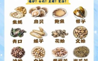 贝类海鲜的营养价值_贝类海鲜的功效与作用
