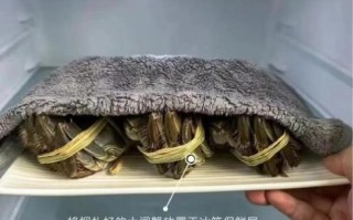 螃蟹放冰箱保鲜可以放几天_活蟹冷藏能保存多久