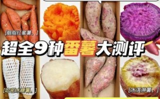 红薯热量表_减肥能吃红薯吗