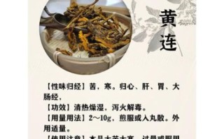 黄连解毒汤的功效与作用_适合什么人喝