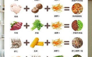 饺子馅种类有哪些_饺子馅怎么调才好吃