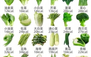 叶菜类蔬菜有哪些_叶菜类蔬菜图片及名称