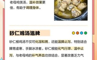 砂锅炖鸡汤炖几个小时_多久才入味