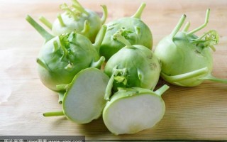 日本大头菜是什么菜_日本大头菜和芜菁区别