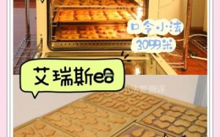 电烤箱烤肉怎么烤_烤箱烤肉温度和时间