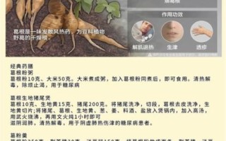 粉葛的功效与作用_粉葛主治哪些疾病