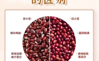 赤小豆和红豆一样吗_赤小豆与红豆的区别