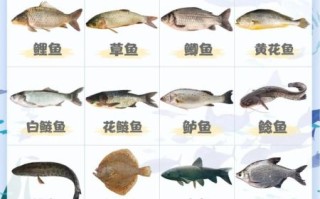 菜市场常见鱼类有哪些_如何挑选新鲜鱼