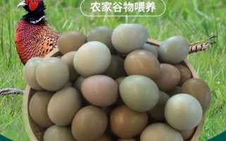 七彩山鸡蛋多少钱一斤_七彩山鸡蛋营养价值