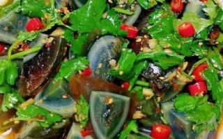 凉皮蛋的家常做法_凉拌皮蛋怎么做才好吃