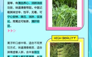 茼蒿读音是什么_茼蒿怎么读才标准