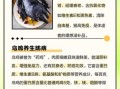 乌鸡的功效与作用_乌鸡的营养价值